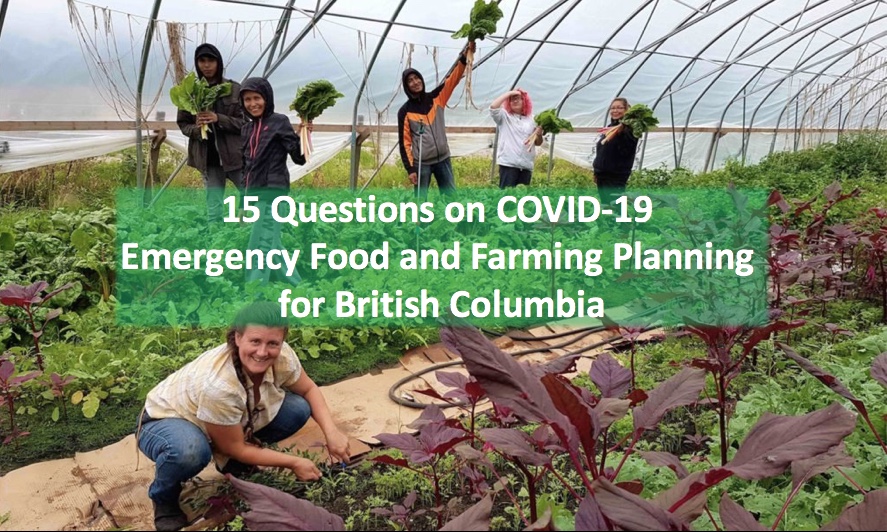 15 Questions on Emergency Food and Farming Planning for British ...